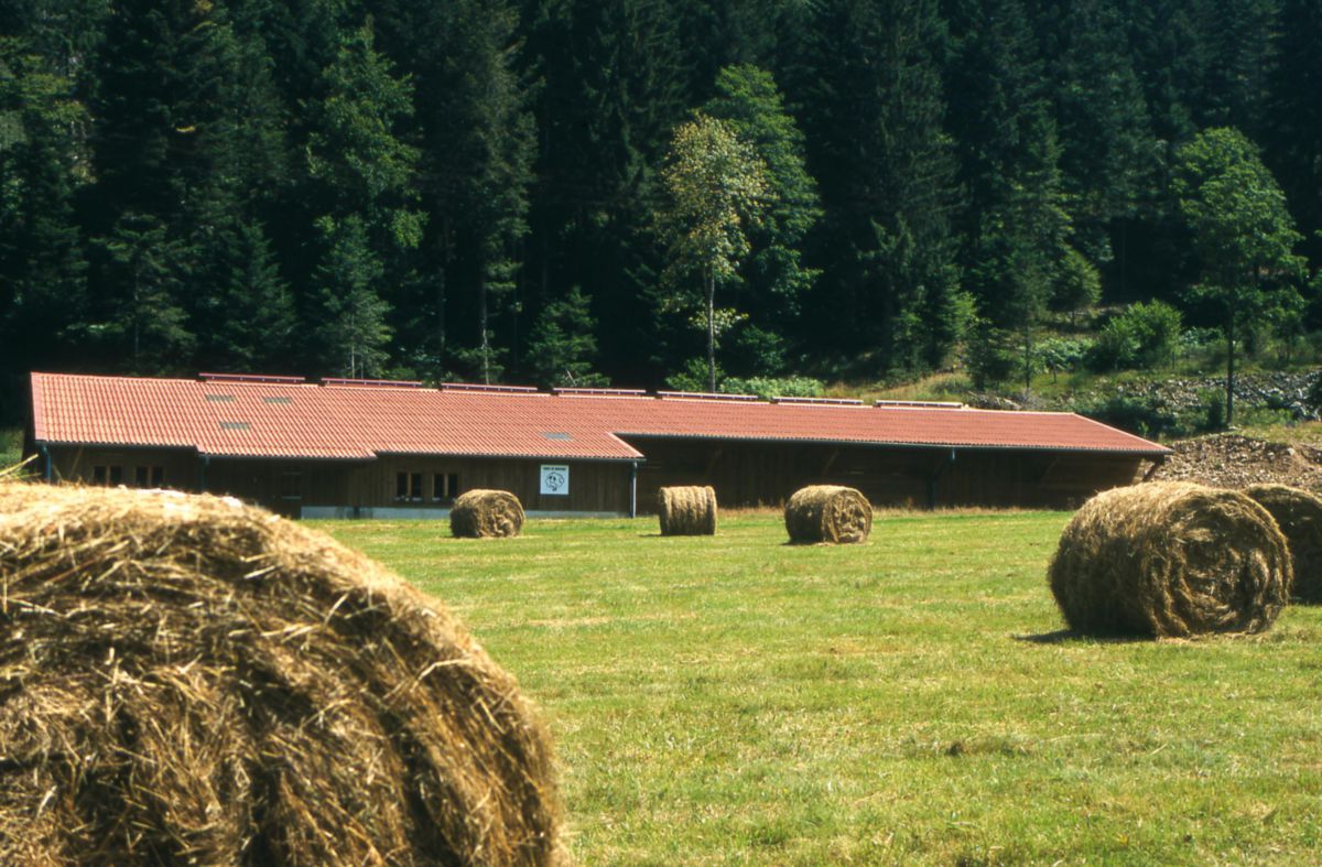 ETERNIT - Plaque fibres-ciment ondulée Coloronde 5 ondes FR 1m52 rouge ...