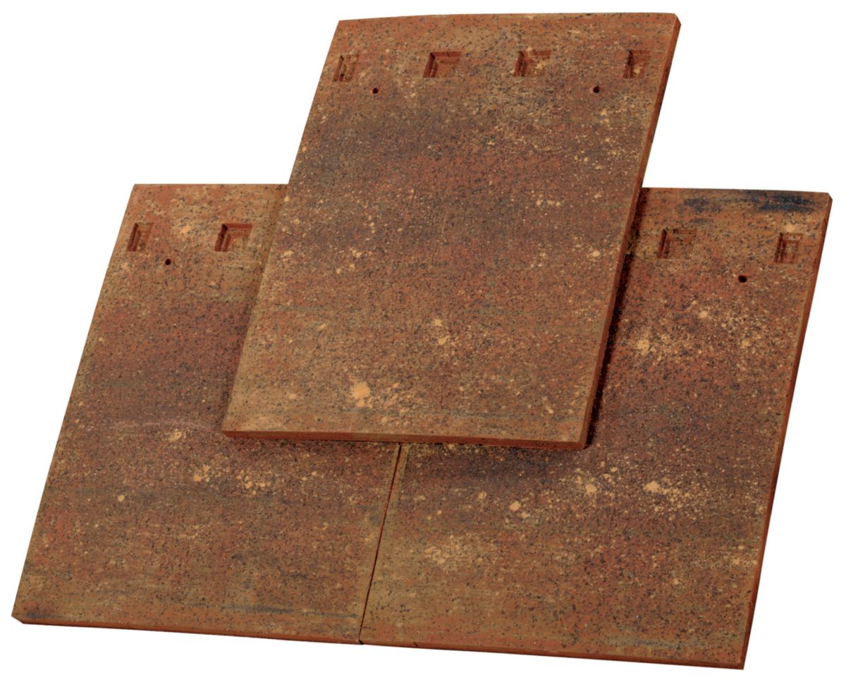 TERREAL - Tuile plate terre cuite Elysée 1EL Longchamp Réf. 124878 ...