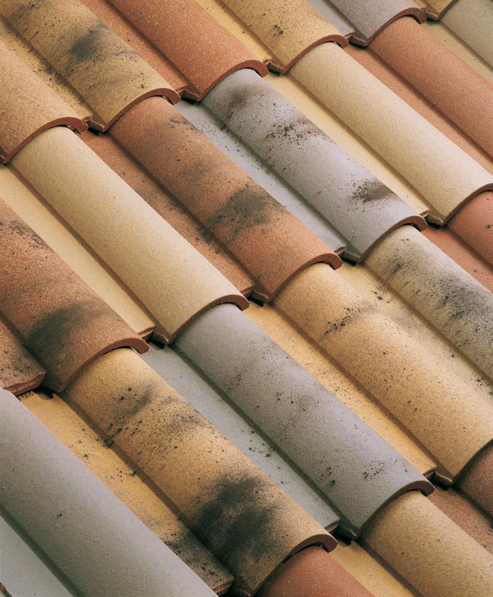 EDILIANS - Tuile terre cuite Oméga 13 Ste Foy vieux toits 450x270 mm ...