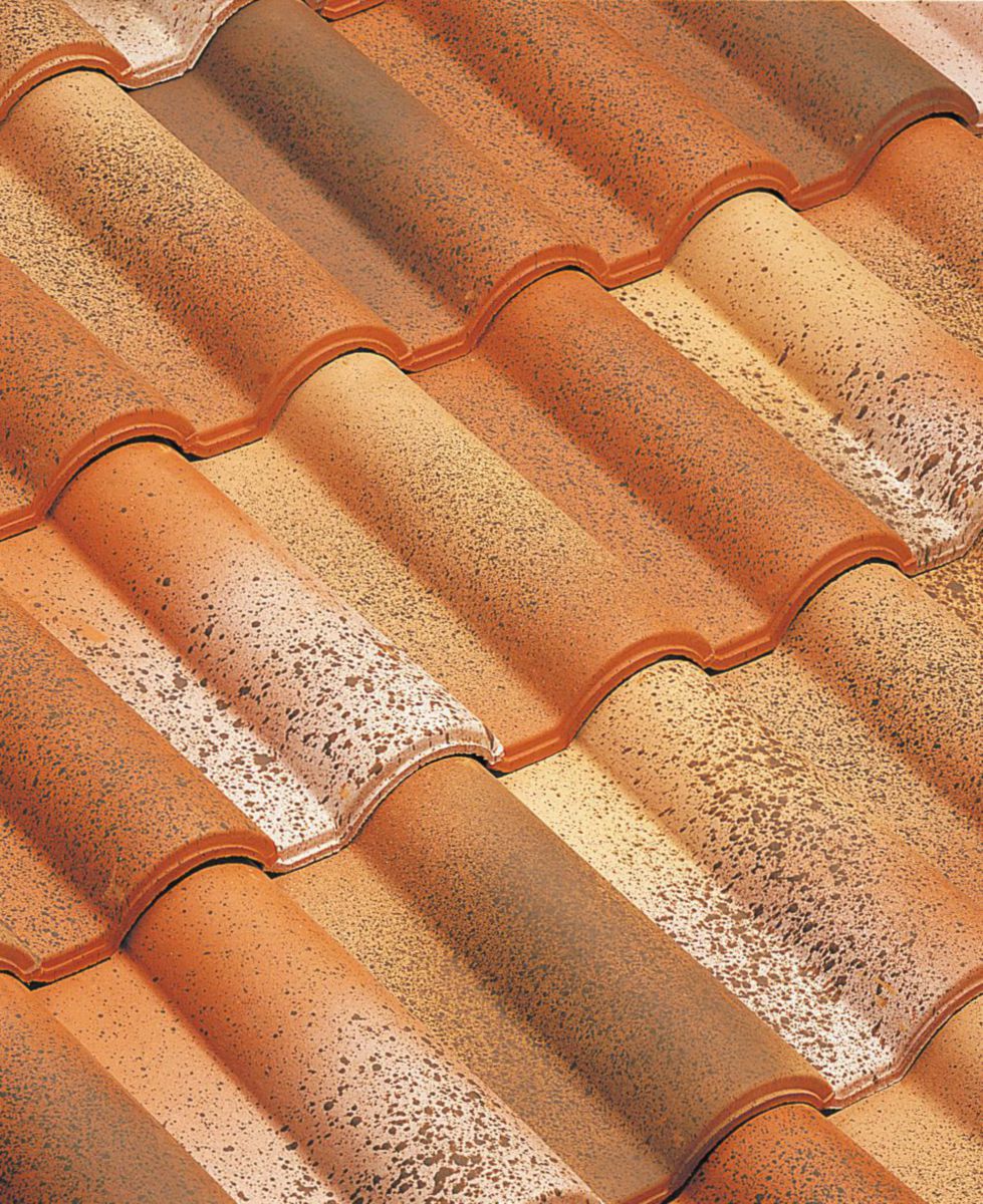 EDILIANS - Tuile de rive à rabat gauche à emboîtement Romane terre ...