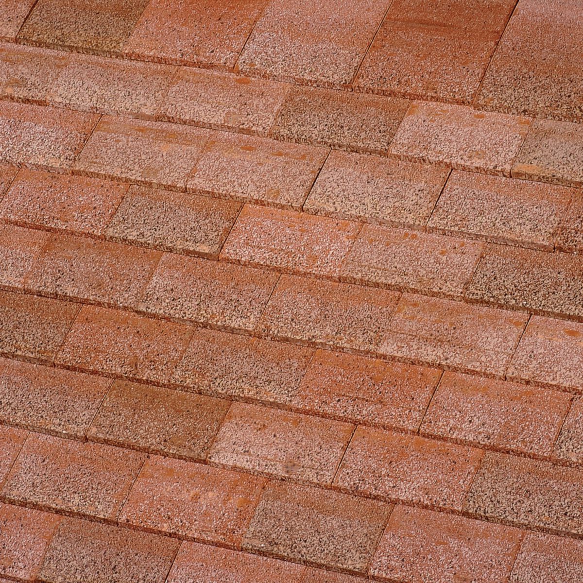 TERREAL - Chatière tuile plate terre cuite Montpon 61PG chateau clair ...