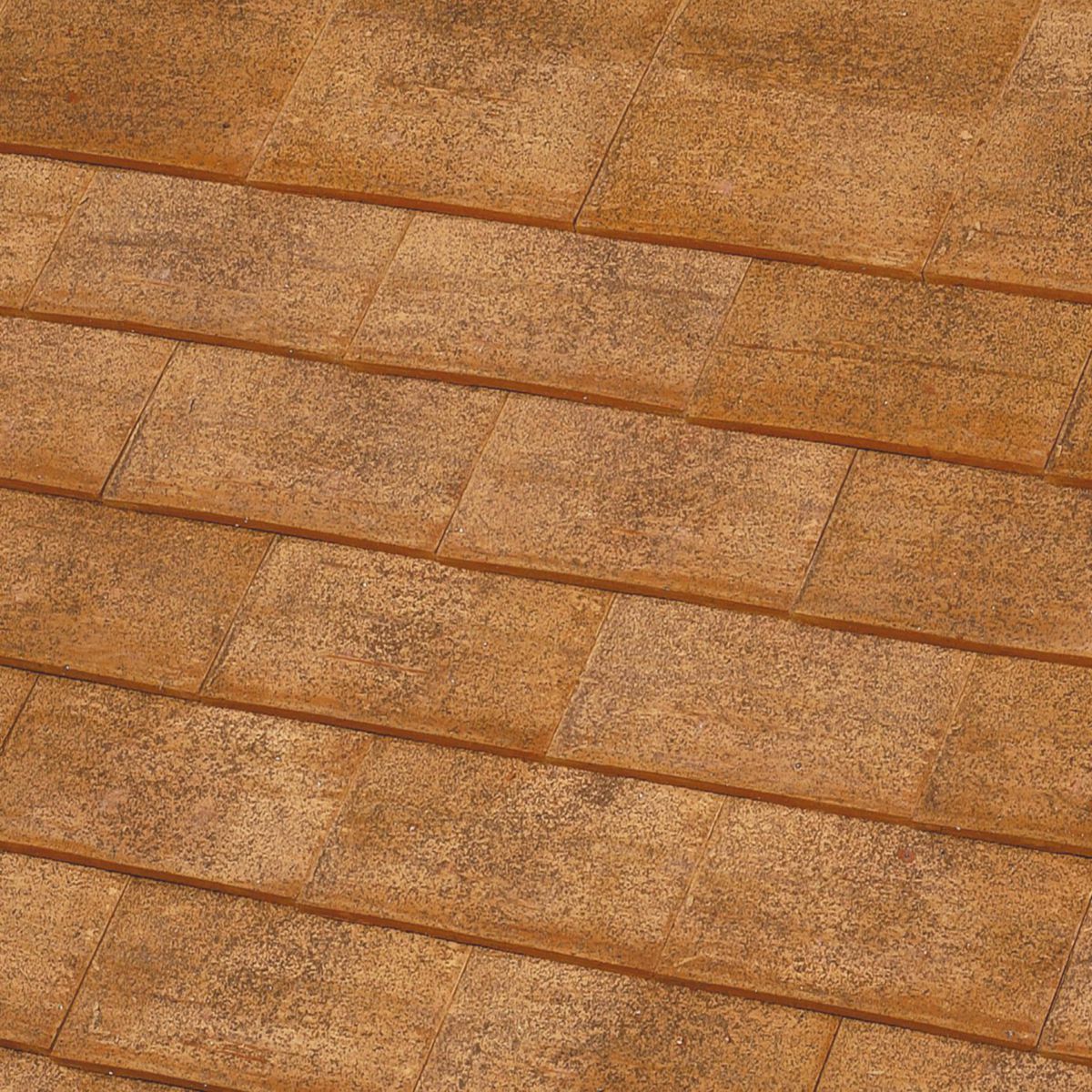 TERREAL - Tuile plate terre cuite Elysée 1EL jaune sable Réf. 116113 ...