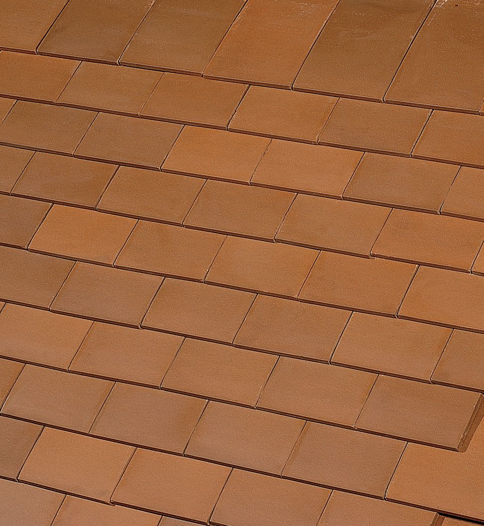 TERREAL - Tuile plate terre cuite Ségala 1P20 20x30cm Tabac Réf. 137742 ...