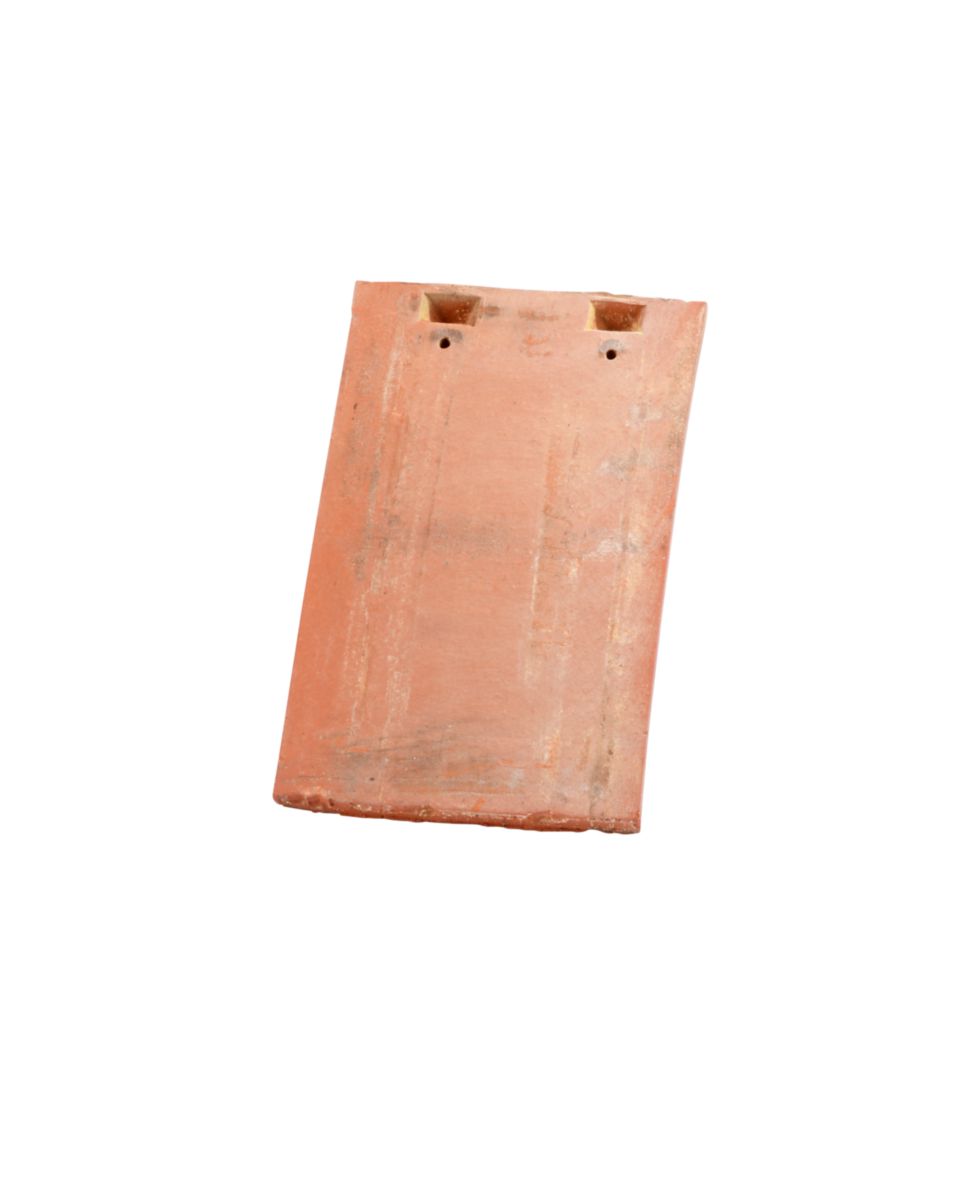 EDILIANS - Tuile plate terre cuite plate Elixir 511 16x27 cm teinte 157 ...