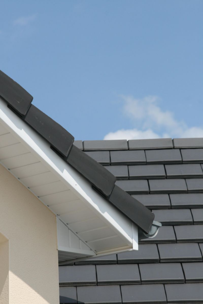 PROFIALIS - Pointe de fixation tête blanche corps blanc cassé longueur ...