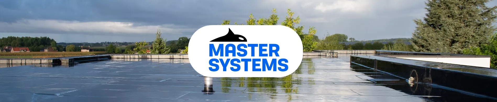 MASTERSYSTEMS | Asturienne